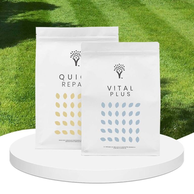 Inheemse Planten voor je Tuin: een Complete Gids