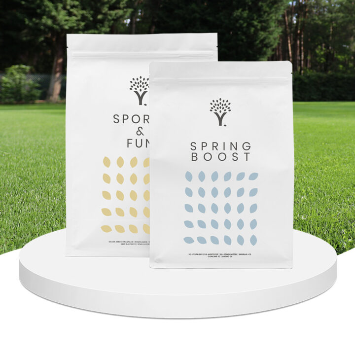 Schildluis op planten: herkennen en bestrijden | MOOWY