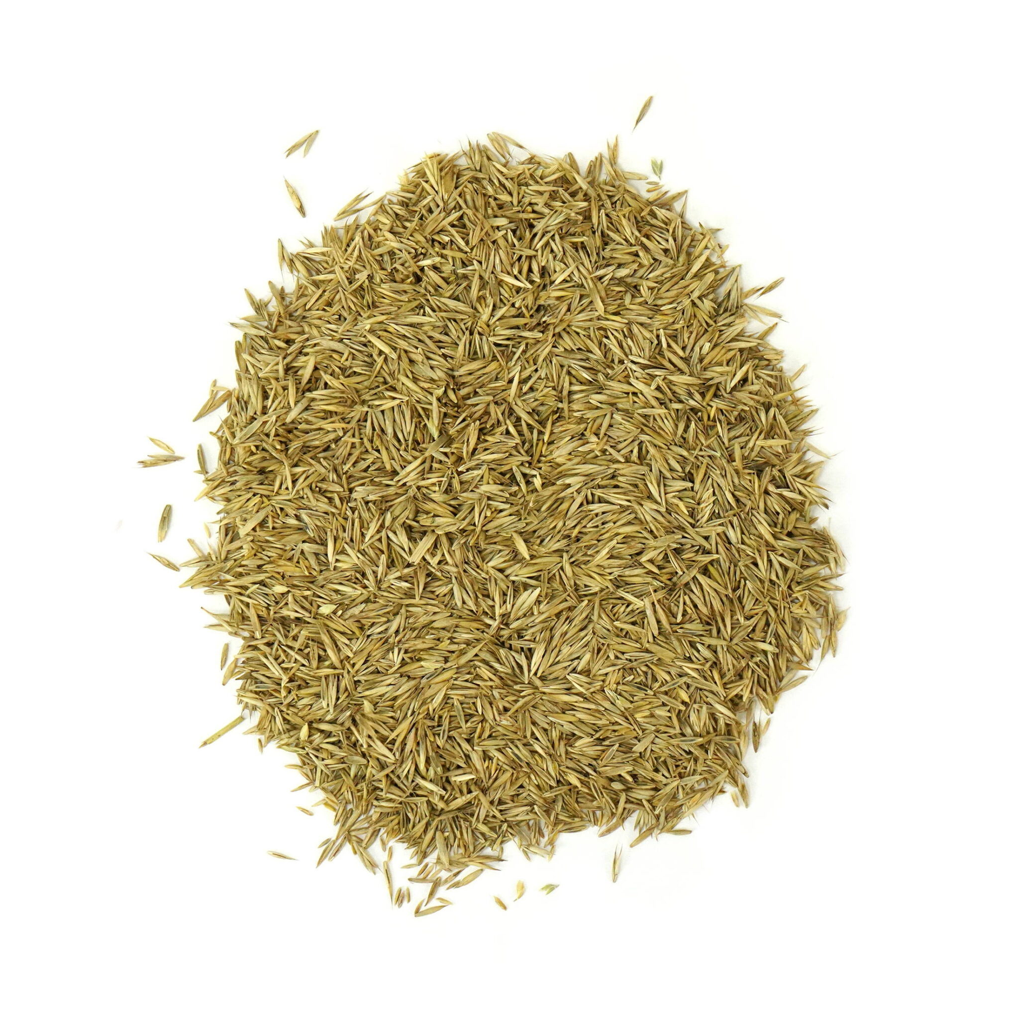 Wat voor type gazon kies jij? | MOOWY