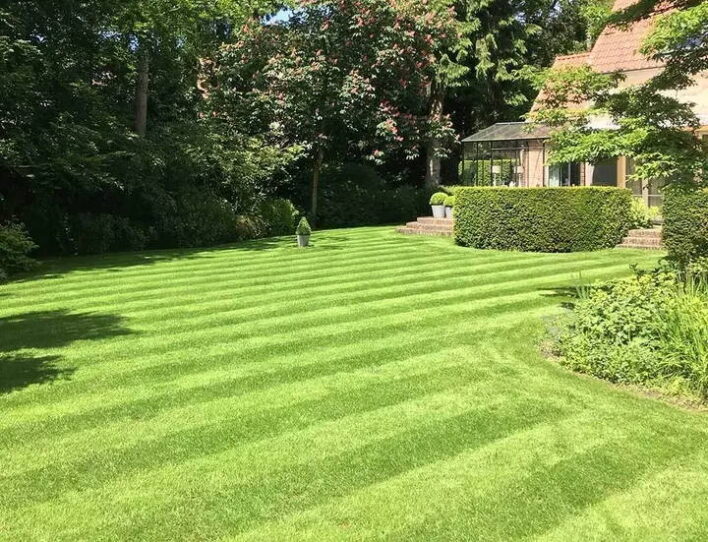 Het Gras Maaien: Waarom, Wanneer & Hoe | MOOWY