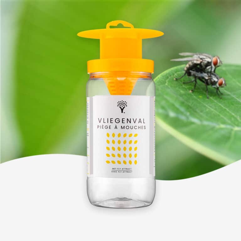 Schildluis op planten: herkennen en bestrijden | MOOWY