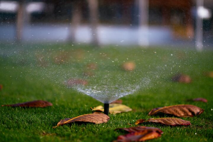 De Tuin Sproeien: Expert Tips & Technieken | MOOWY