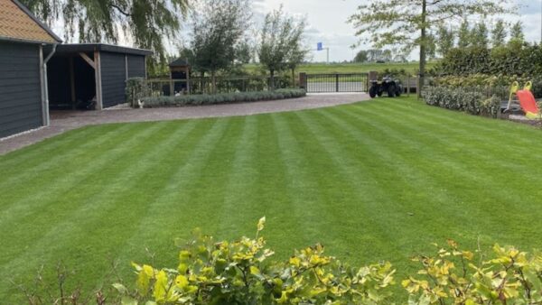 Korstmos Herkennen en Verwijderen