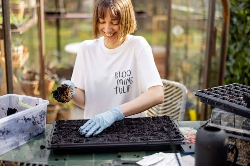 Zaaikalender voor de Moestuin: De Moestuin Kalender | MOOWY