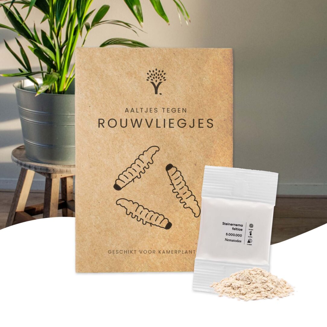 Aaltjes kopen? | Snel & gemakkelijk plagen bestrijden | MOOWY