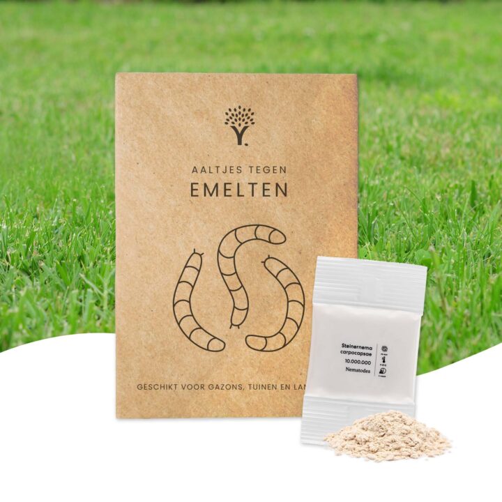 Aaltjes kopen? | Snel & gemakkelijk plagen bestrijden | MOOWY