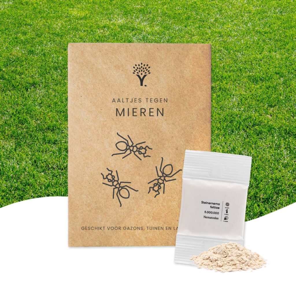 Aaltjes kopen? | Snel & gemakkelijk plagen bestrijden | MOOWY