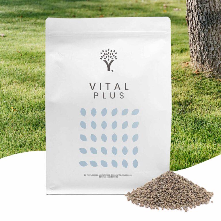 Inheemse Planten voor je Tuin: een Complete Gids