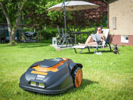 Combinatieteelt: De Ultieme Gids Voor Een Gezonde Moestuin